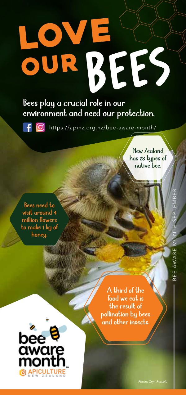 Bee Aware Month Resources – Apiculture New Zealand