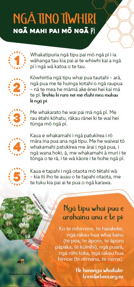 Bee Aware Month Resources – Apiculture New Zealand